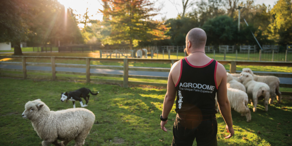 World renowned New Zealand Farm Experience | Ngāi Tahu Tourism