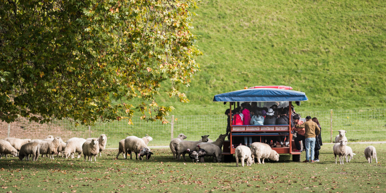 World renowned New Zealand Farm Experience | Ngāi Tahu Tourism