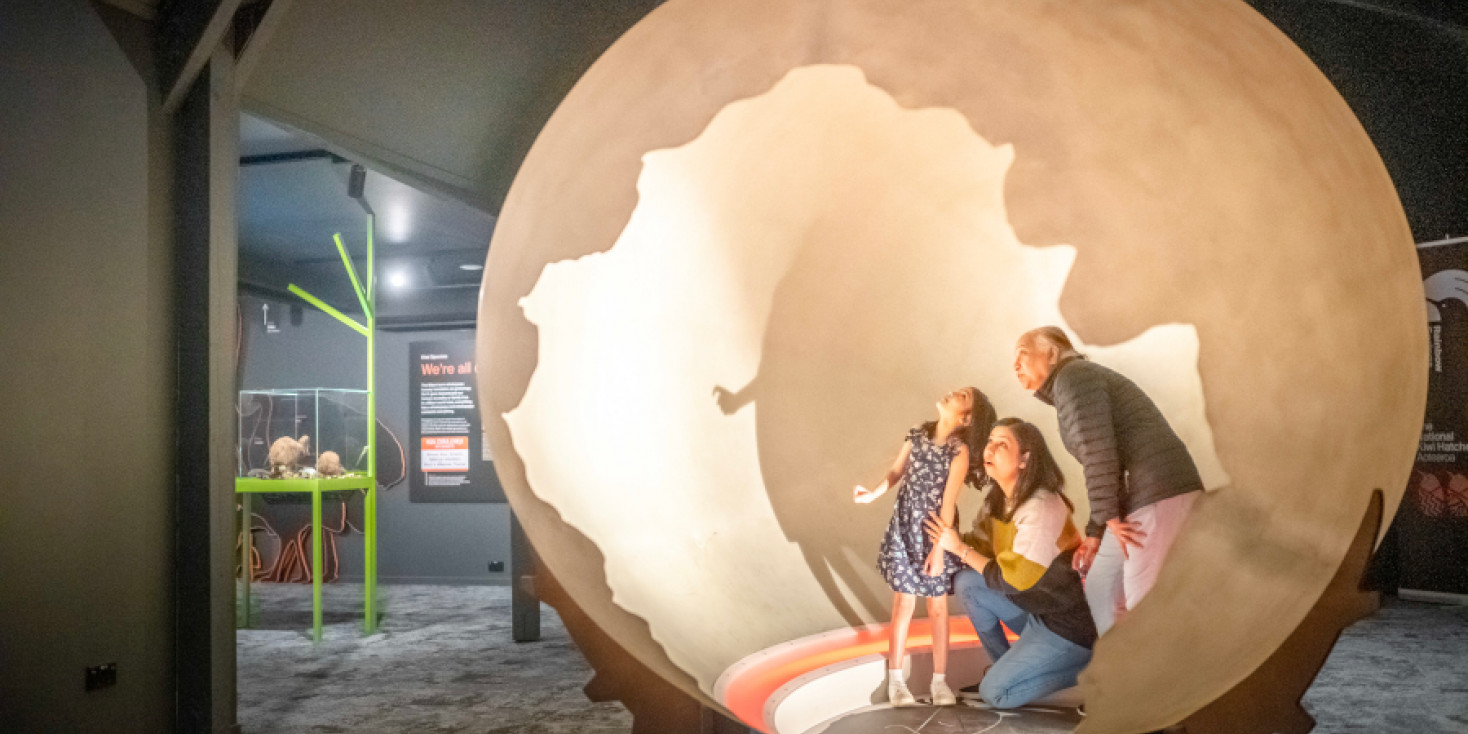 National Kiwi Hatchery Aotearoa | Ngāi Tahu Tourism